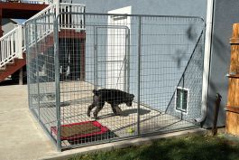 6' X 8' Three Sided Basic PRO Dog Kennel
