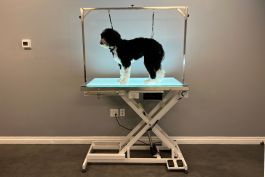 LED Lighted Master Groomer Electric Lift Table
