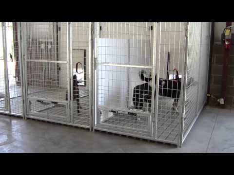 inside dog kennels