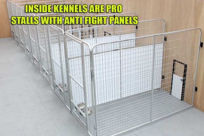 inside dog kennels